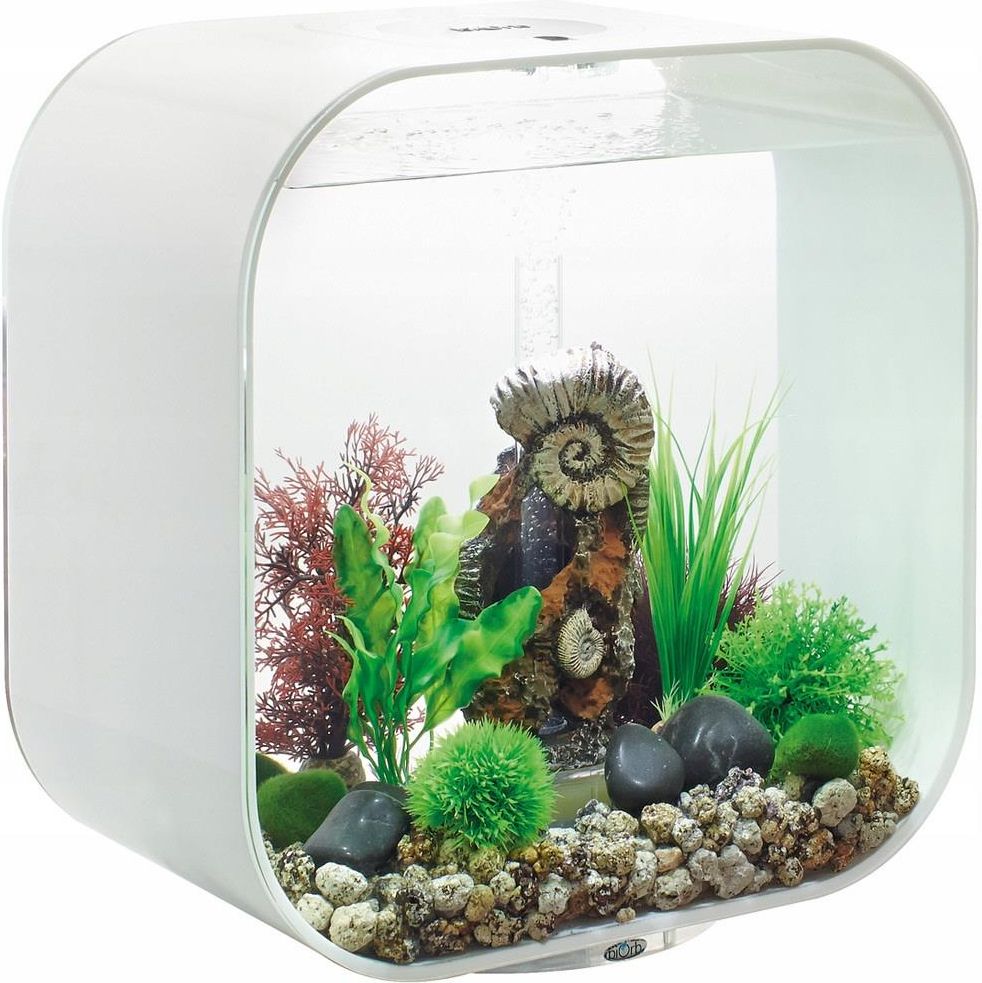 Oase Biorb Life 30 Led Mcr Biały Zestaw Akwarium 30L 72055 - Ceny i ...