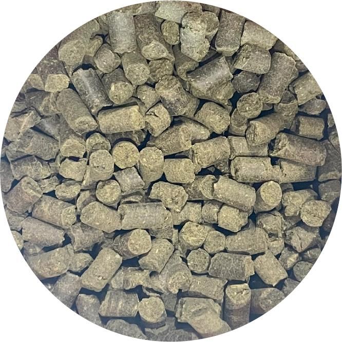 Biofeed Horse&Pony Hemp Pellet With Cbd 800g (Słoik Pet) - Ceny i ...