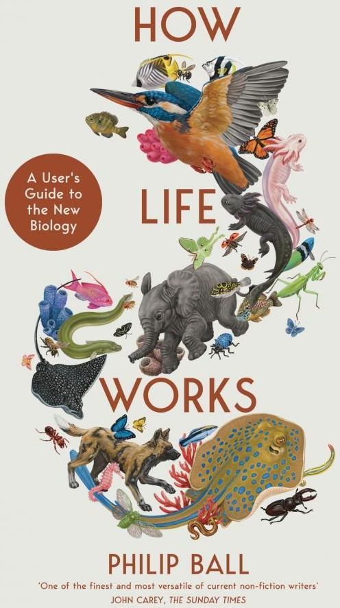 How Life Works - Literatura obcojęzyczna - Ceny i opinie - Ceneo.pl