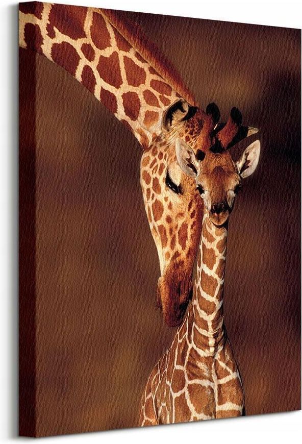 Pyramid International Obraz Płótno Karl Ammann Żyrafy Zwierzęta 40X50Cm ...