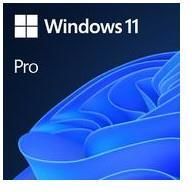 System operacyjny Microsoft Ms 1x windows 11 pro ggk 64-bit dvd oem ...