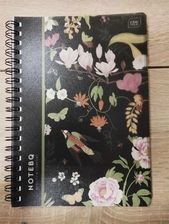 Interdruk Kołozeszyt A4 Bb 100 Kartek W Kratkę Półtwarda Okładka - Ceny i opinie - Ceneo.pl