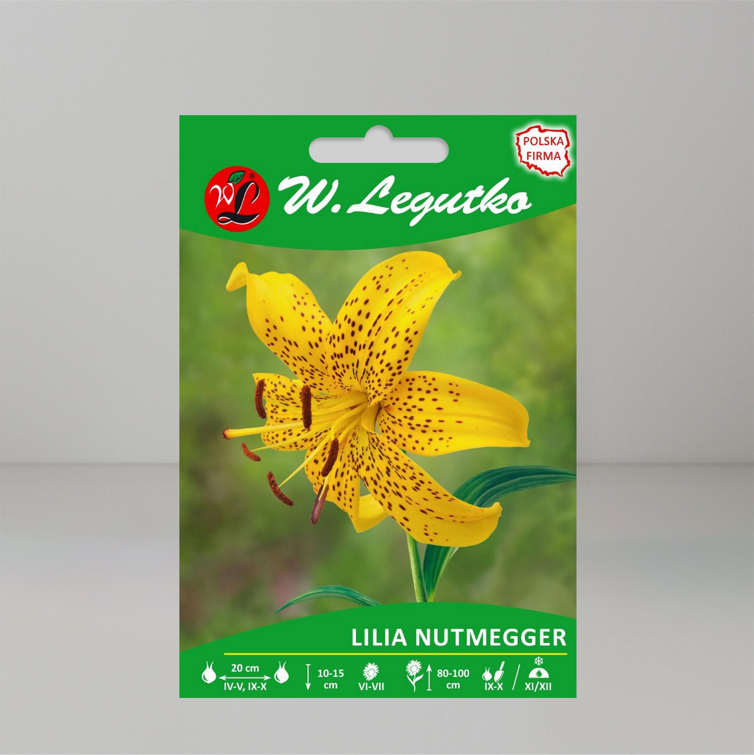 W. Legutko Lilia Azjatycka Nutmegger Cytrynowy 1szt. Cebulki - Ceny i ...