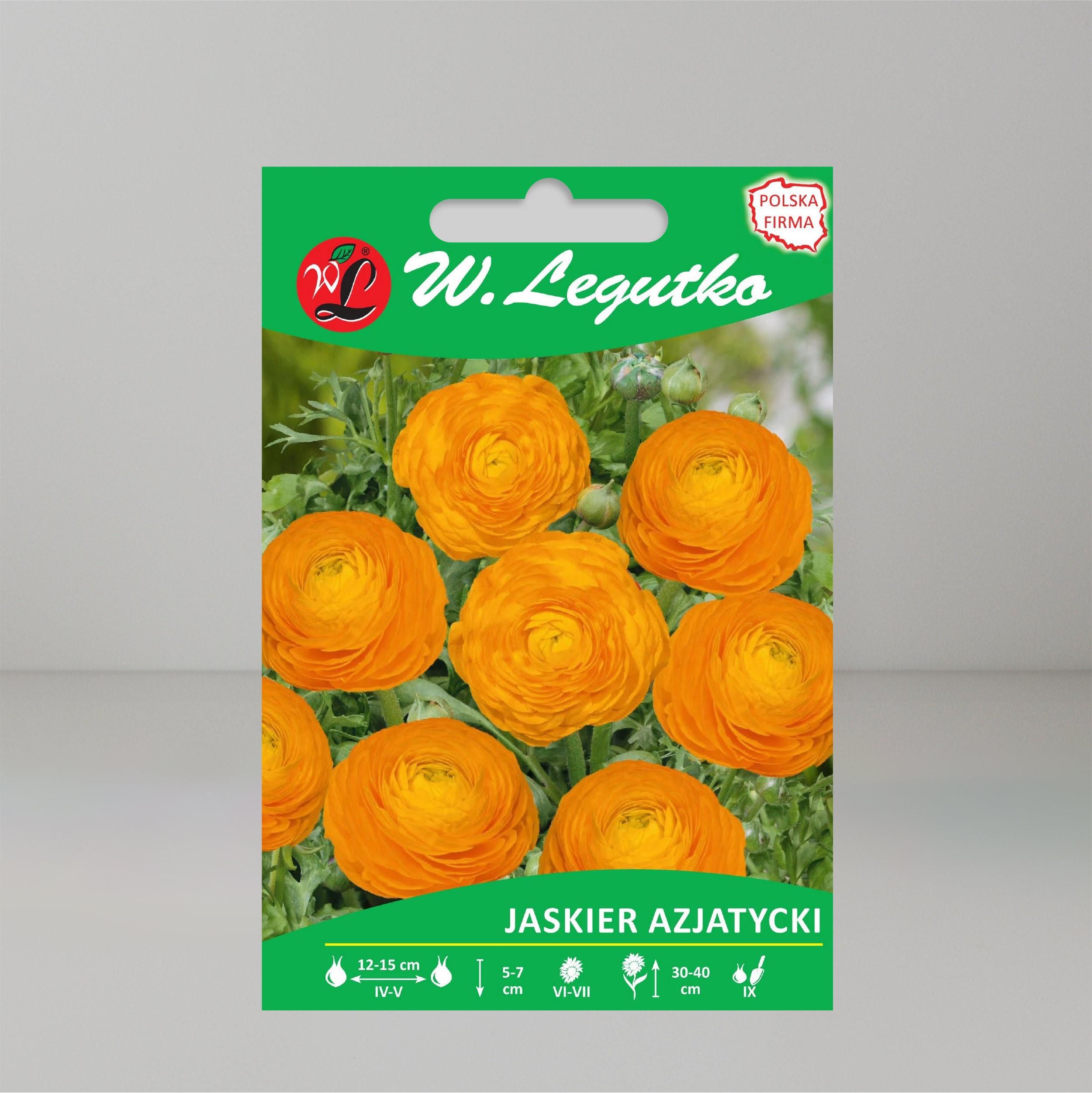 W. Legutko Jaskier Azjatycki Pomarańczowy 7Szt. Bulwy - Ceny i opinie ...