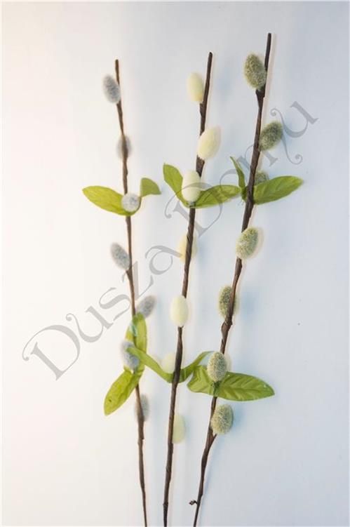 Bazie &naturalne& Średnie - Opinie i atrakcyjne ceny na Ceneo.pl