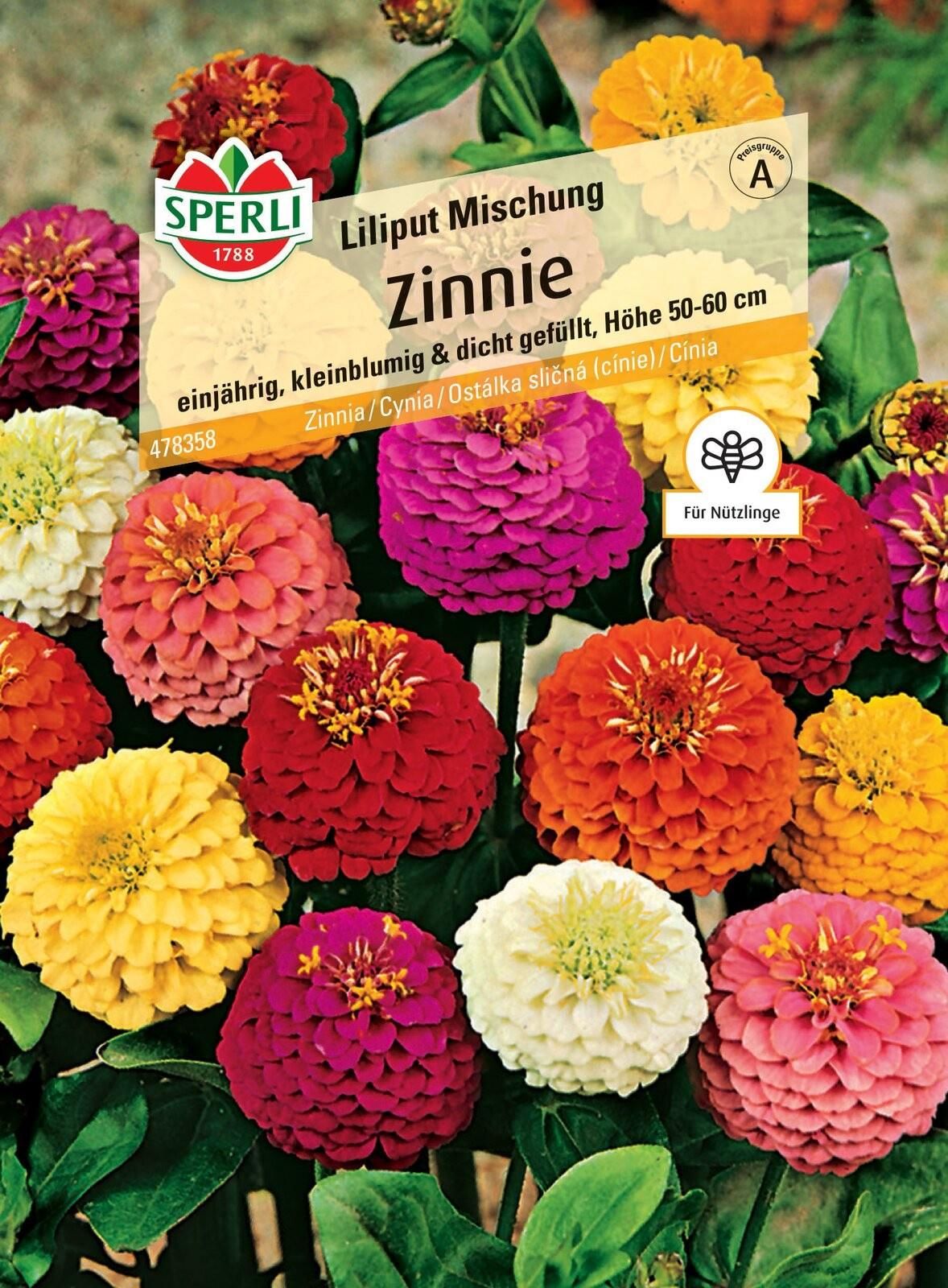 Cynia Liliput Mischung' Nasiona Premium Sperli - Ceny i opinie - Ceneo.pl