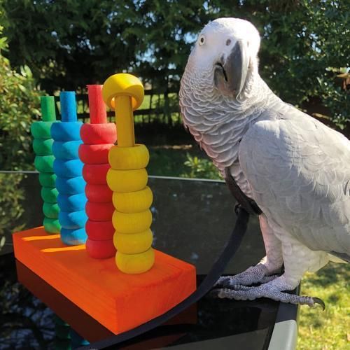 Zoo-Max Na Cztery Układanka Logiczna Interaktywna Zabawka Dla Papug ...