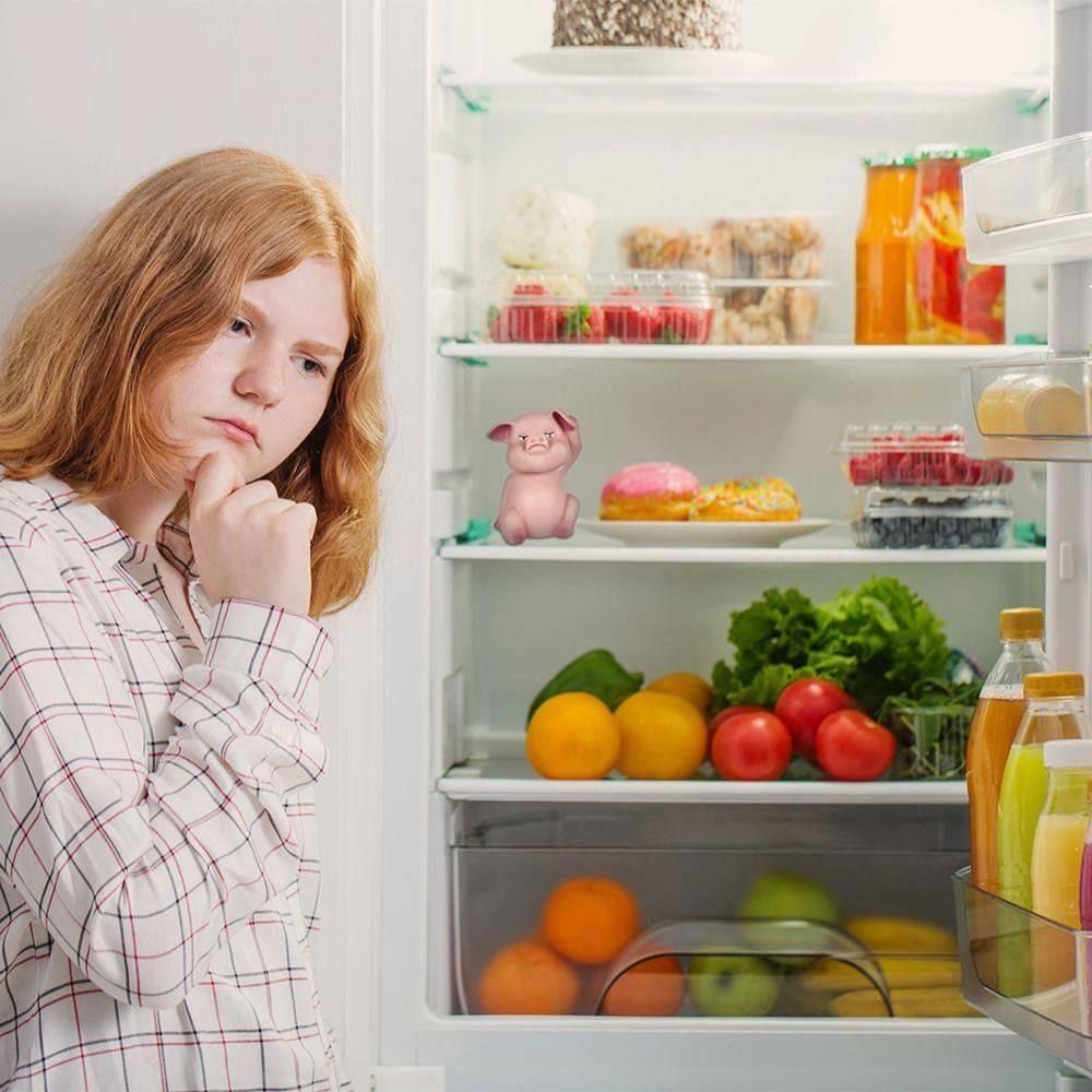 Orion Świnka Do Lodówki Chrumka Z Czujnikiem Światła - Etui na telefon ...