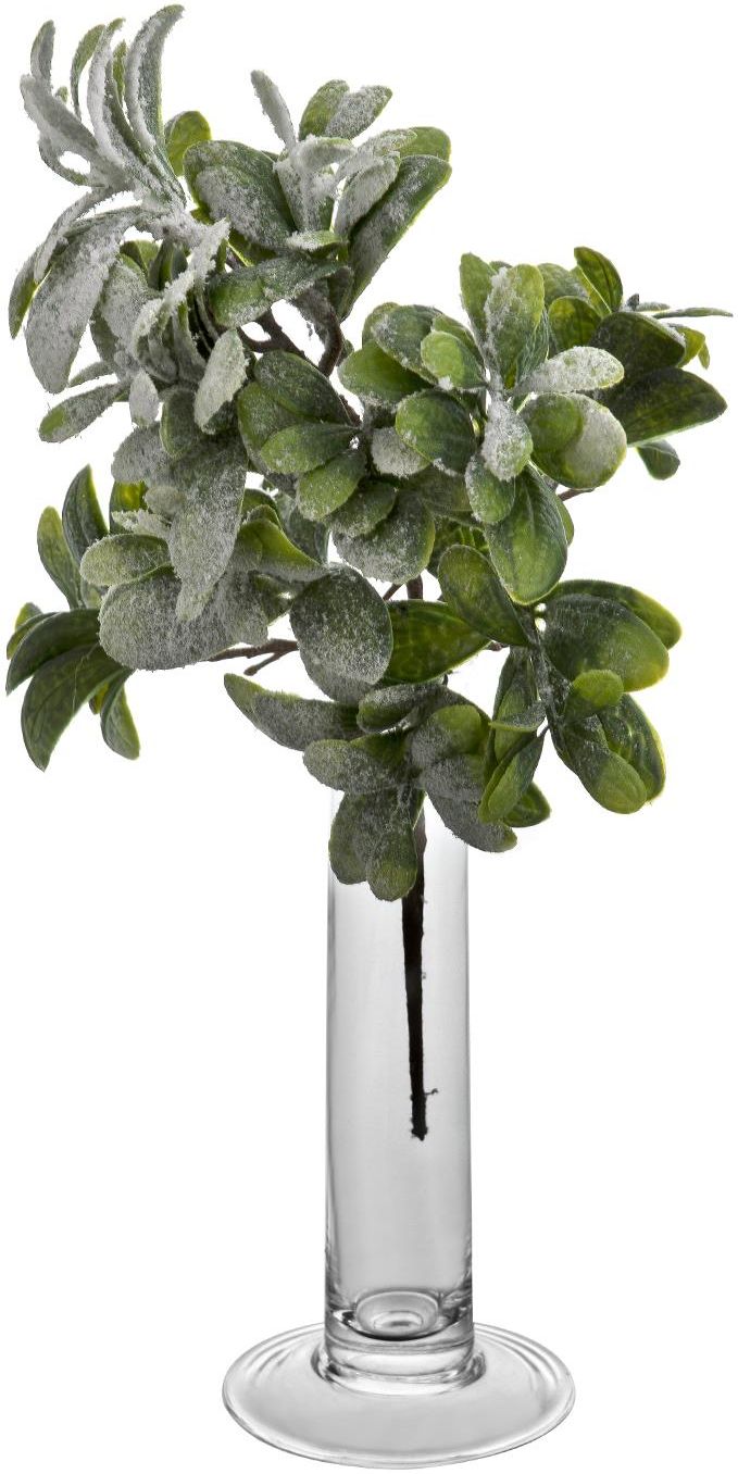 Sigma Glass Wazon Wazonik Szklany Rurka 20 Cm - Opinie i atrakcyjne ...