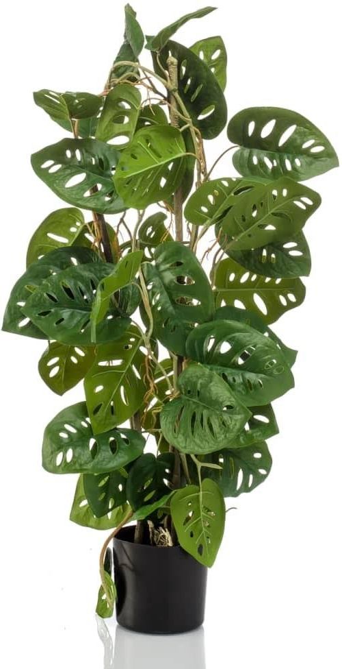 Emerald Sztuczna Monstera Adansona W Doniczce 75 Cm - Opinie i ...