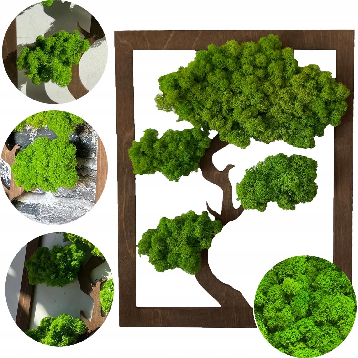 Obraz Mech Chrobotek Drzewko Bonsai Obraz Z Mchu Drzewko 30x22 - Opinie ...