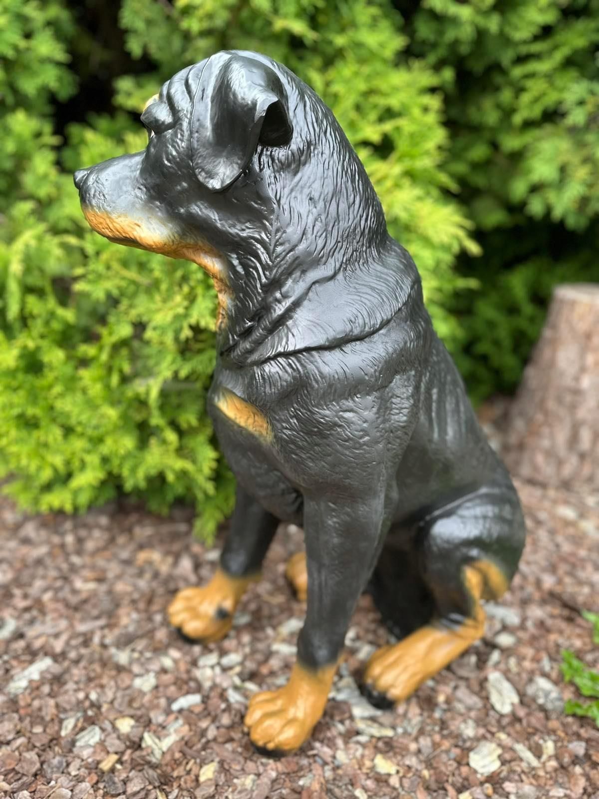Ozdoba Do Ogrodu Pies Rottweiler Siedzący Figury Dekoracyjne - Ceny i ...