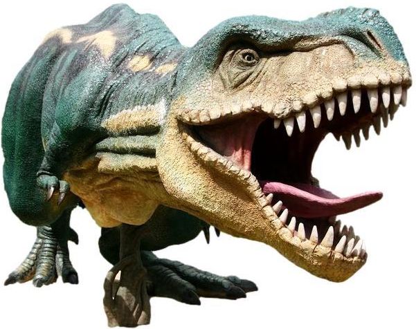 Figurka Ogrodowa Dinozaur Tyranosaurus Rex Xxxl - Ceny i opinie - Ceneo.pl