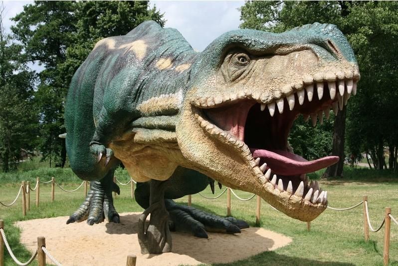 Figurka Ogrodowa Dinozaur Tyranosaurus Rex Xxxl - Ceny i opinie - Ceneo.pl