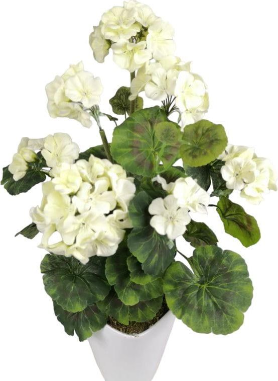 PELARGONIA sztuczna BUKIET bez doniczki (2295.7a) krem biel - Opinie i ...