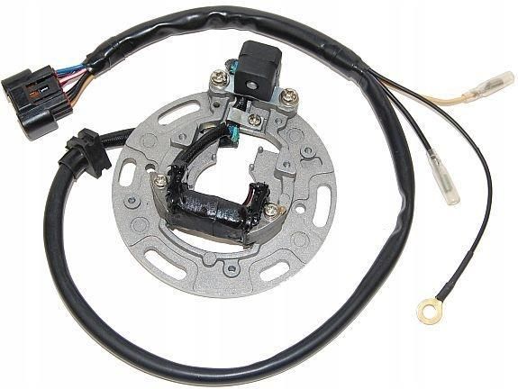 Electrosport Stator Alternatora Kawasaki Kx 85/100 '01-'05 Z Płytą I ...