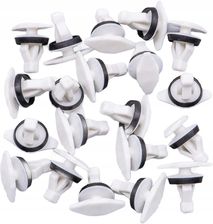 Audi Rs4 B6 - oferty 2024 - Ceneo.pl