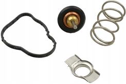 Fast Termostat Kangoo Citan Dokker Clio Megane Scenic 08 15 Dci 110 13 ...