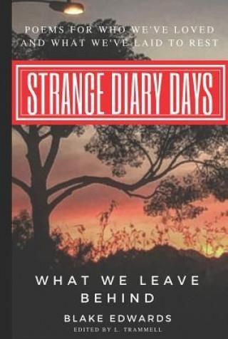 Strange Diary Days: What We Leave Behind - Literatura obcojęzyczna ...
