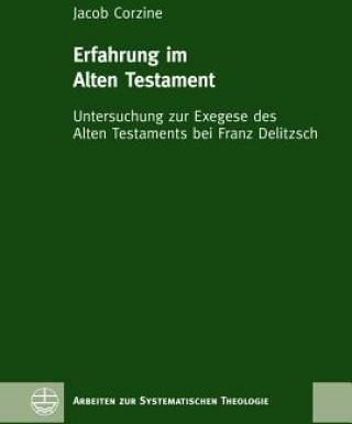 Erfahrung im Alten Testament - Literatura obcojęzyczna - Ceny i opinie ...