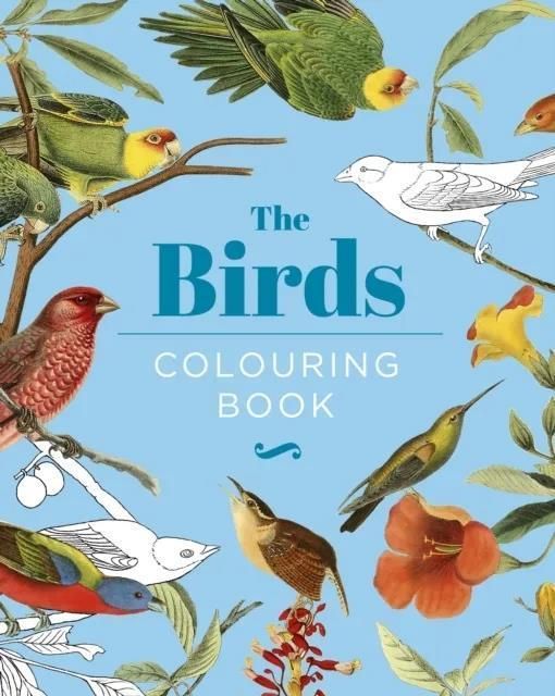 Birds Colouring Book - Peter Gray - Literatura obcojęzyczna - Ceny i ...