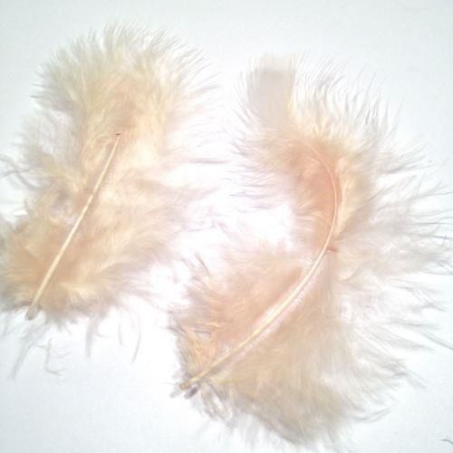 Feather 10 -13cm Beige 1szt. - Ceny i opinie - Ceneo.pl