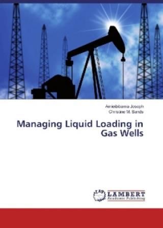 Managing Liquid Loading in Gas Wells - Literatura obcojęzyczna - Ceny i ...