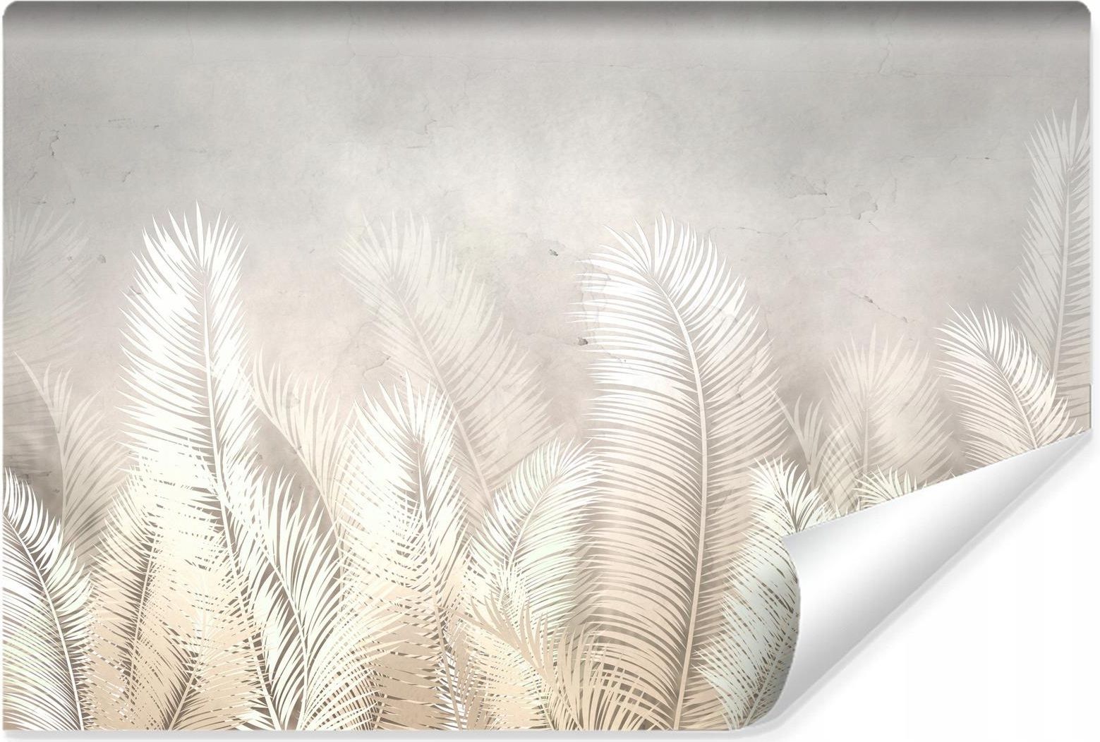 Muralo Fototapeta Liście Palmowe Beton Abstrakcja Mural 300X210 - Opinie i ceny na Ceneo.pl