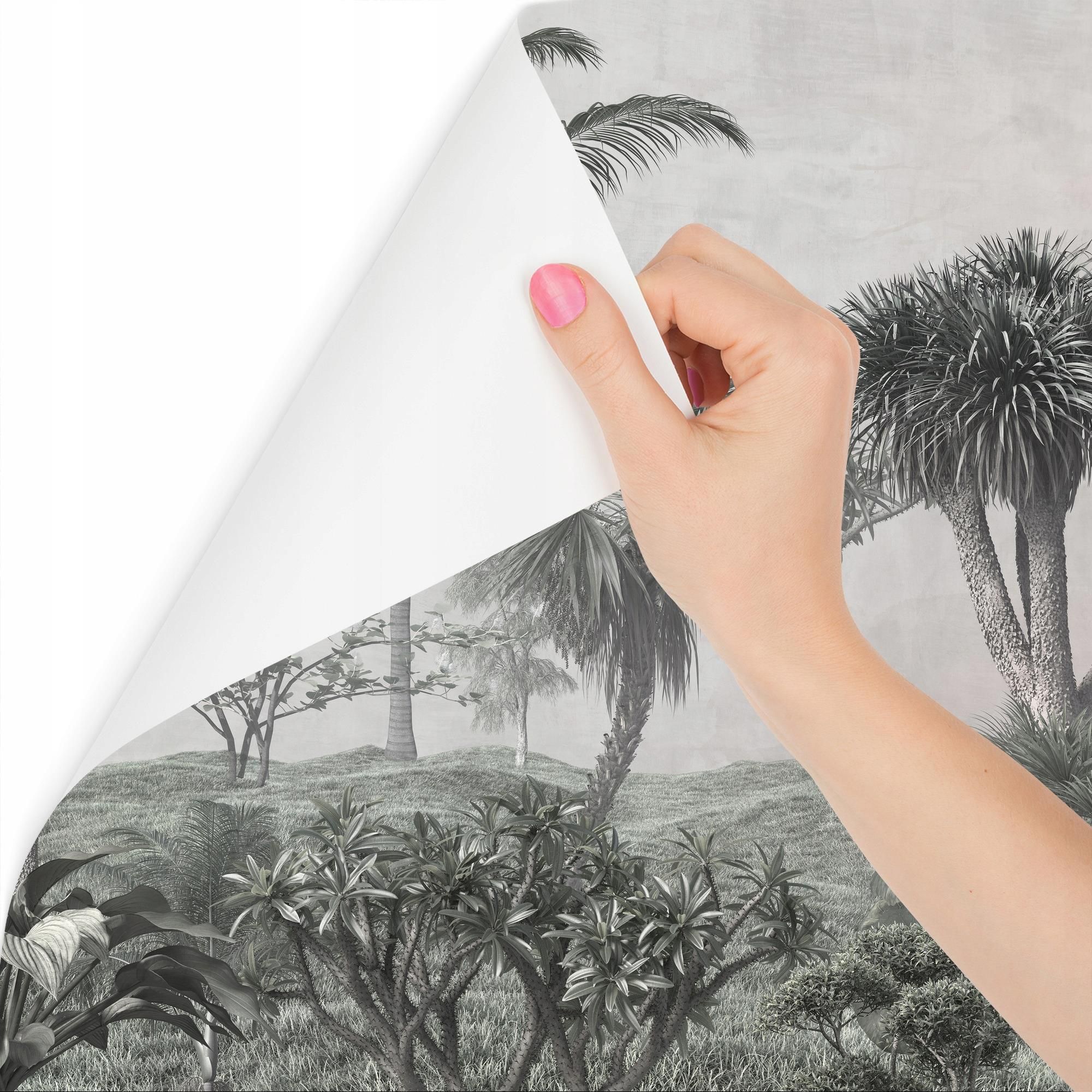 Muralo Fototapeta Do Jadalni Tropikalne Drzewa Las Rośliny Natura Beton 368X254 - Opinie i ceny ...