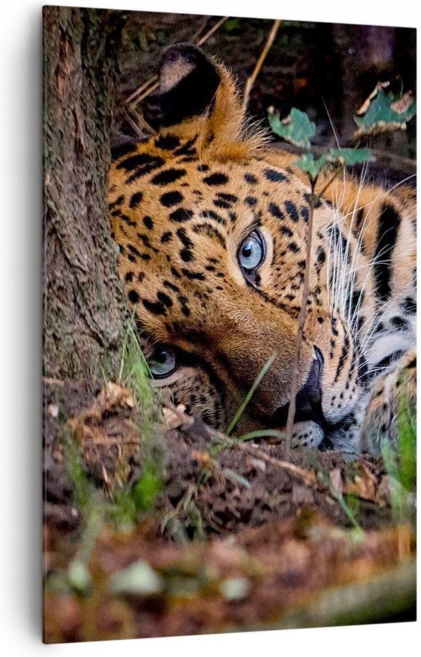 Arttor Duży obraz do Salonu XXL 80x120 Lampart Nowoczesny na płótnie Obrazy (PA80X1204493 ...