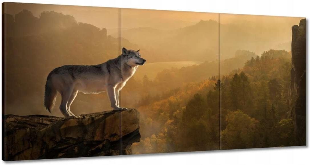 Zesmakiem Obrazy 120x60 Wilk na skarpie (H7713M_PC3BX_120X60CMODS ...
