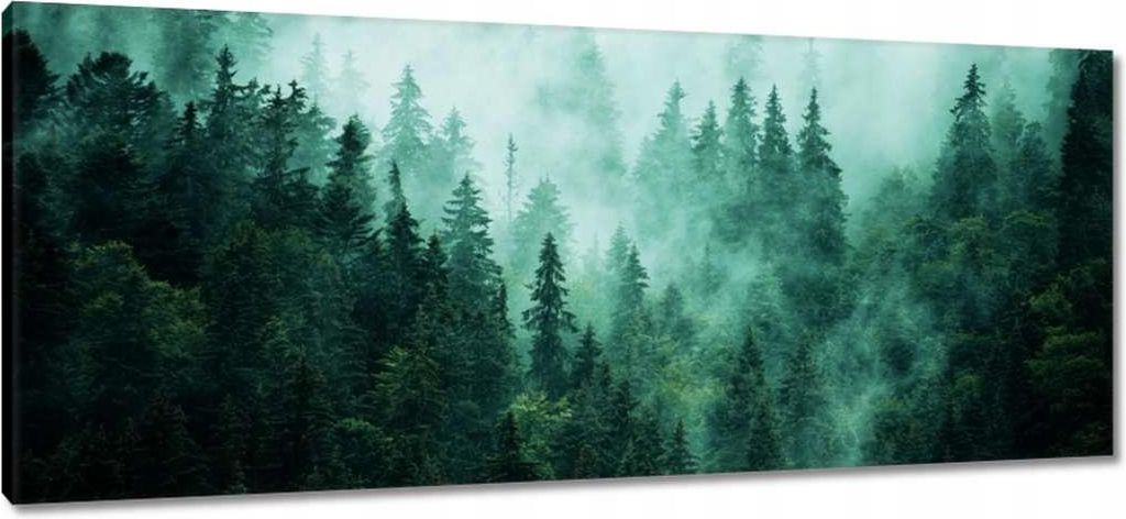 Zesmakiem Obrazy 100x40 Las Mgła Krajobraz Podróż (H9929Z_PC1I_100X40CM ...