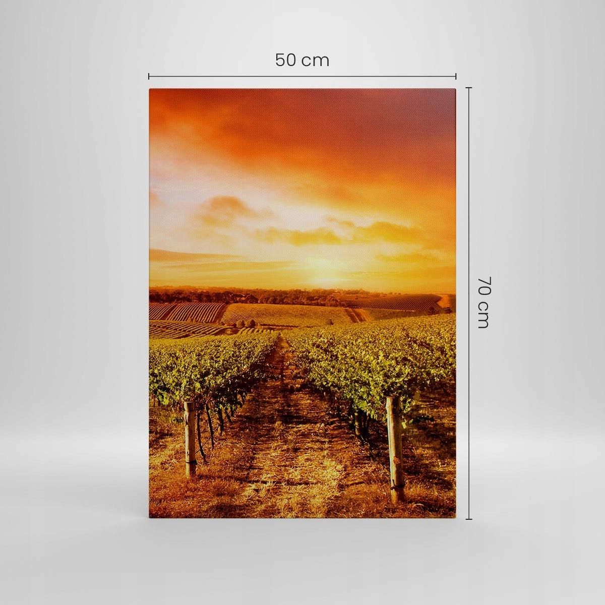 Arttor Obraz na płótnie do Salonu Sypialni 50x70 Winnica Obrazy na ...