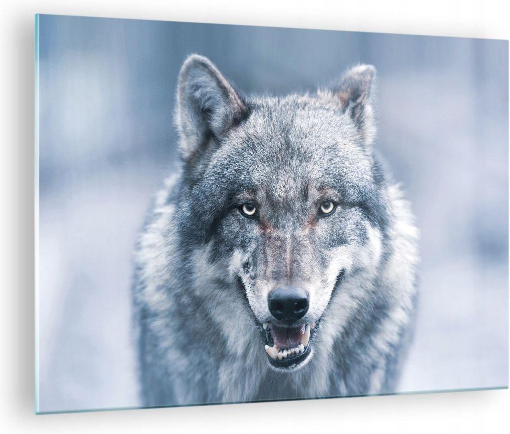 Arttor Obraz na szkle do Salonu Sypialni 70x50 Wilk Foto Obrazy na ...