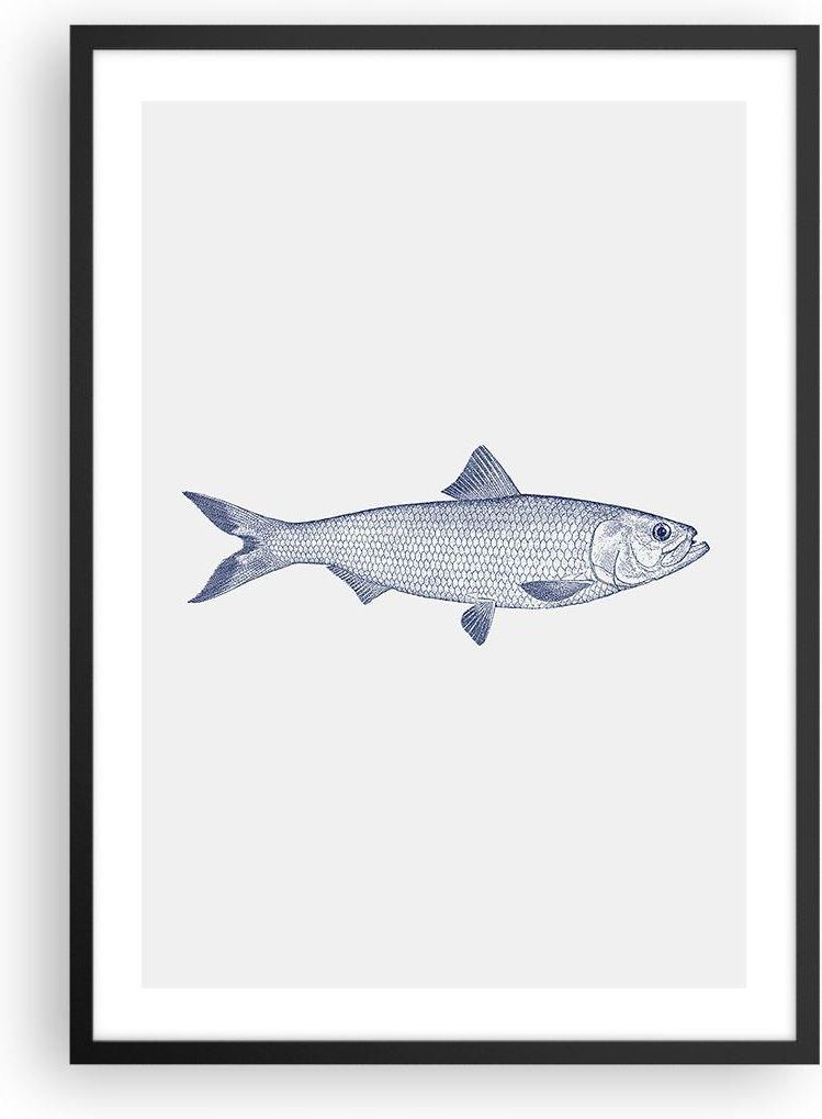Arttor Plakat w czarnej ramie do Salonu Sypialni 50x70 Ryba Nowoczesny ...