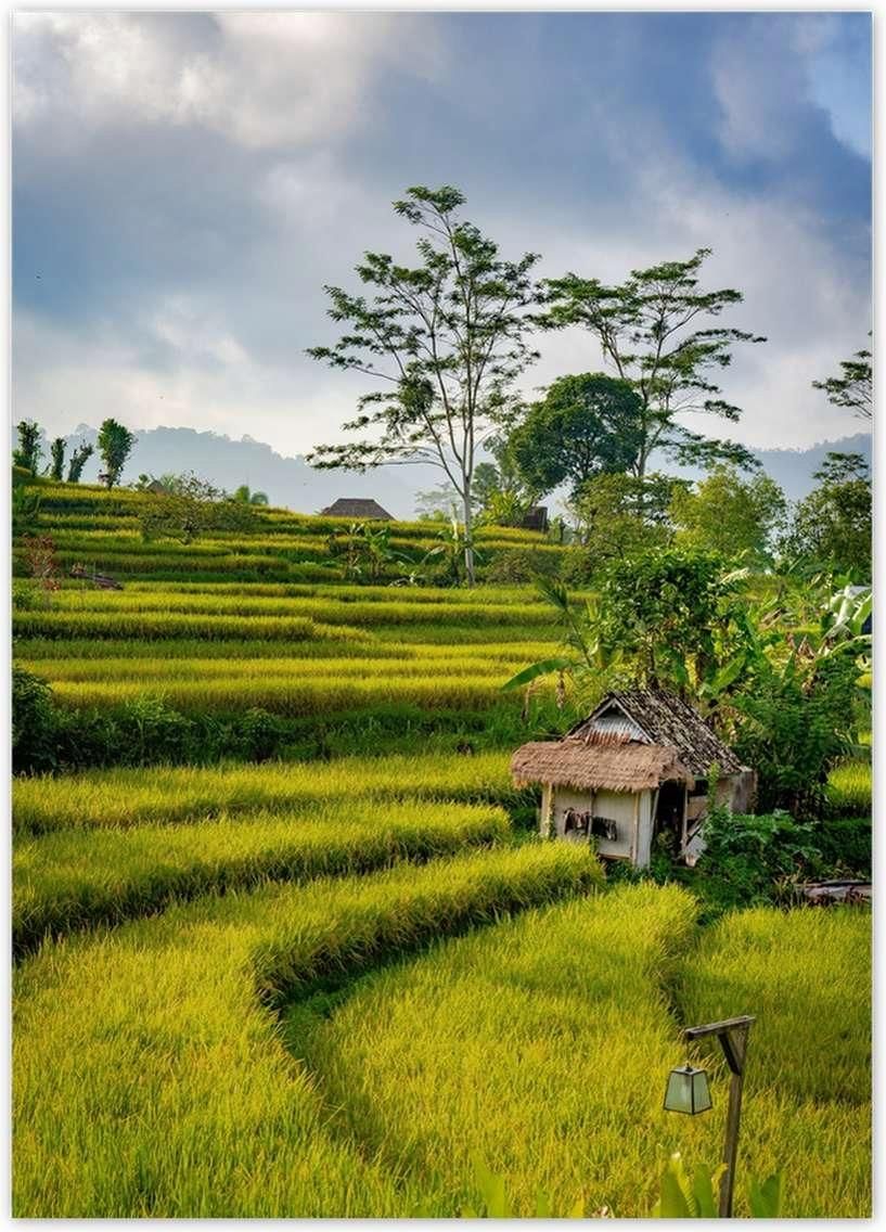 Plakaty 40x50 Pejzaż Krajobraz Widoczek (H6395M_PL1Q_40X50CM) - Opinie i atrakcyjne ceny na Ceneo.pl