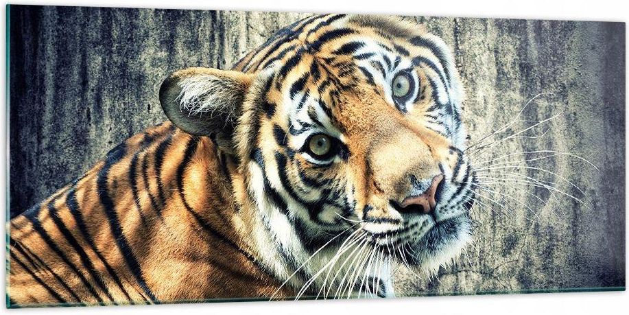 Arttor Obraz na szkle do Salonu Sypialni 120x50 Zwierzęta Foto Obrazy na ścianę (GAB120X502464 ...