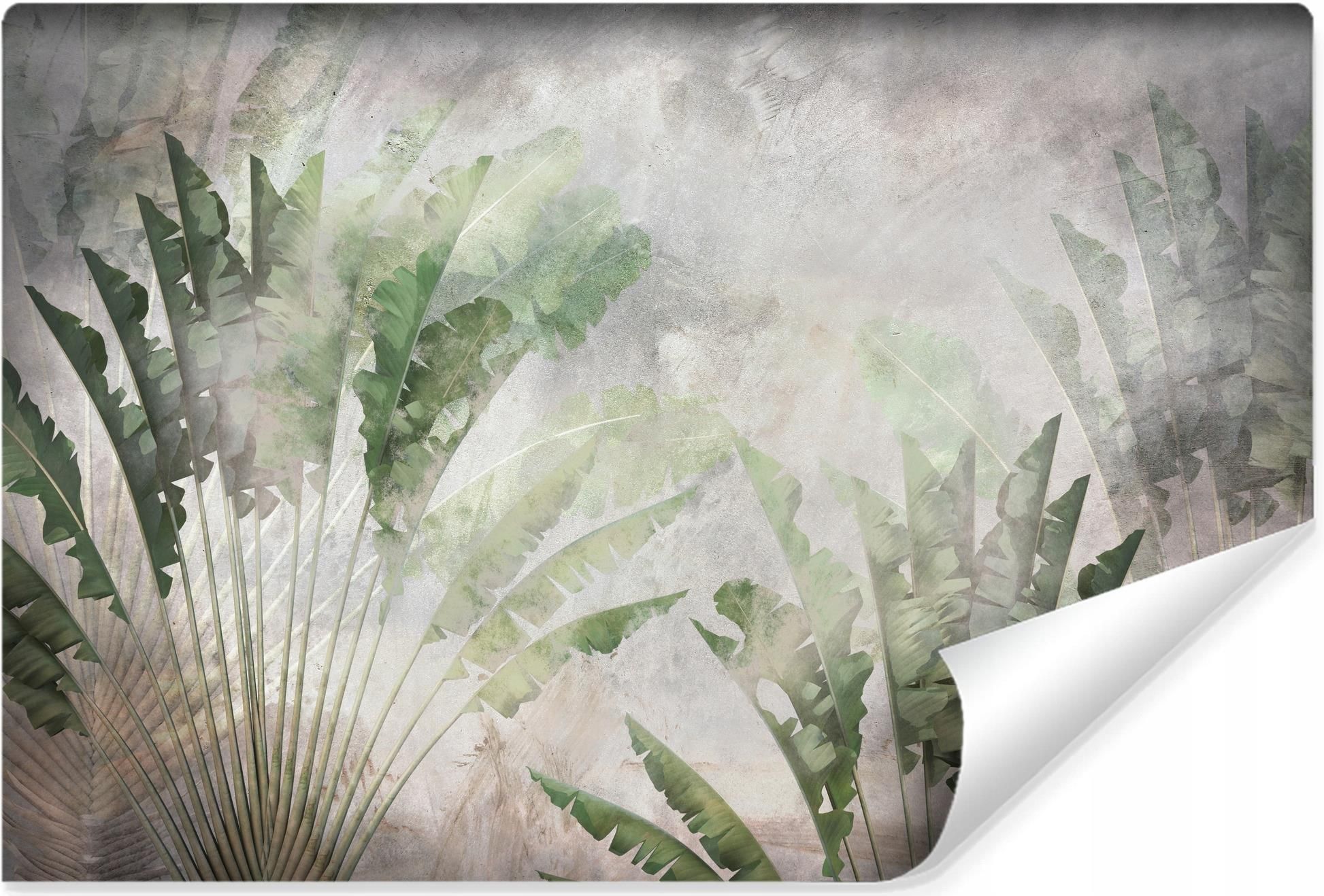 Muralo Fototapeta Ścienna Liście Bananowe Beton Mural Abstrakcja Natura 400X280 - Opinie i ceny ...