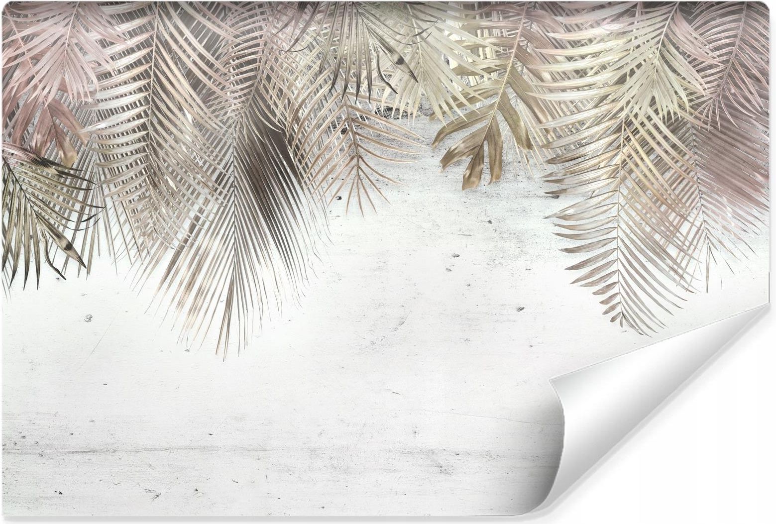 Muralo Fototapeta Liście Palmowe Beton Mural Abstrakcja 3D 400X280 - Opinie i ceny na Ceneo.pl