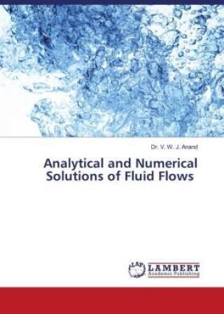Analytical and Numerical Solutions of Fluid Flows - Literatura obcojęzyczna - Ceny i opinie ...