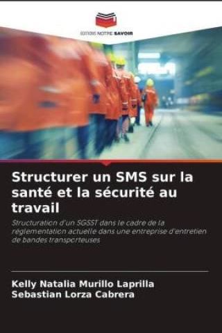 Structurer un SMS sur la santé et la sécurité au travail - Literatura obcojęzyczna - Ceny i ...
