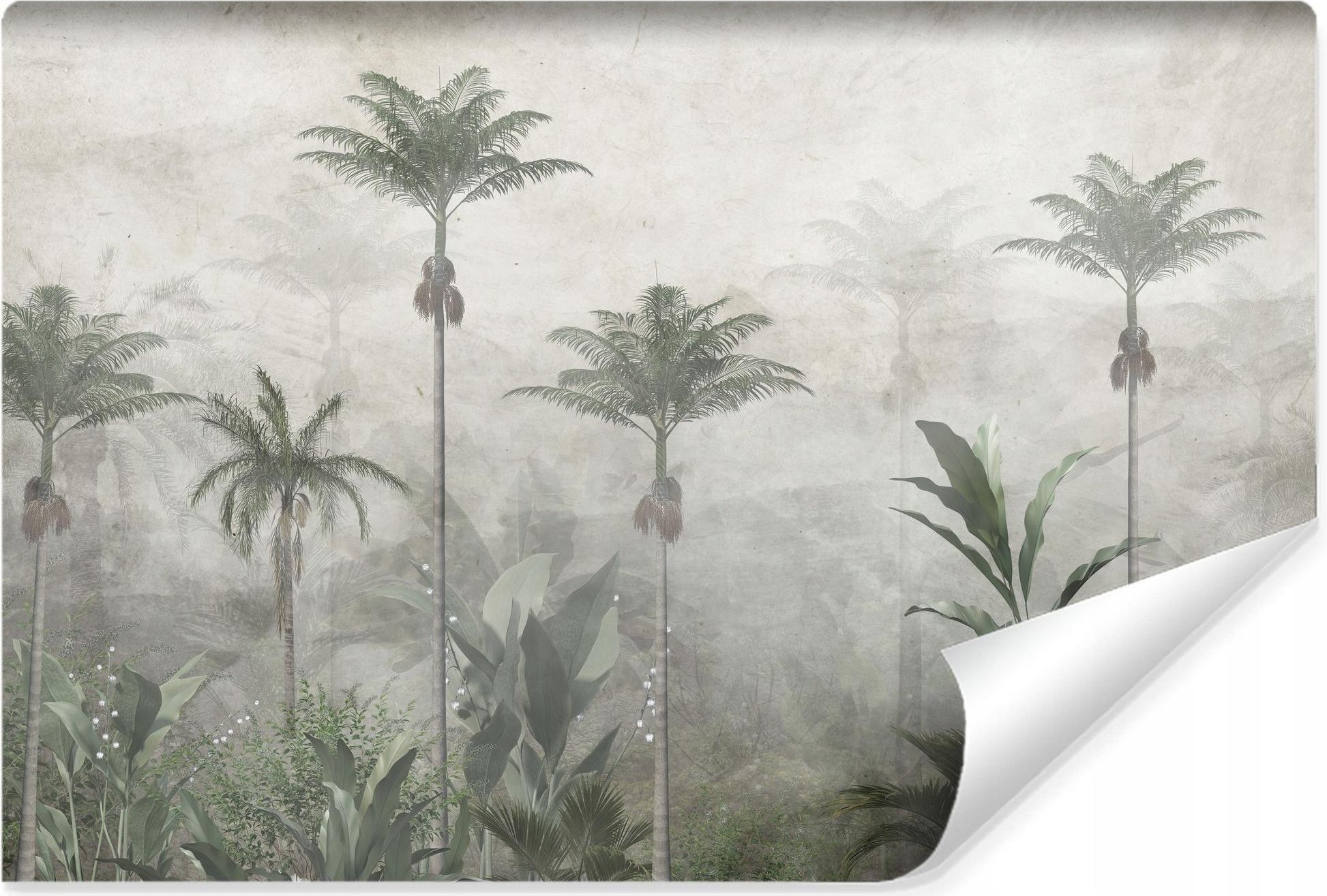 Muralo Fototapeta Palmy Drzewa Abstrakcja Beton Mural Natura 400X280 - Opinie i ceny na Ceneo.pl