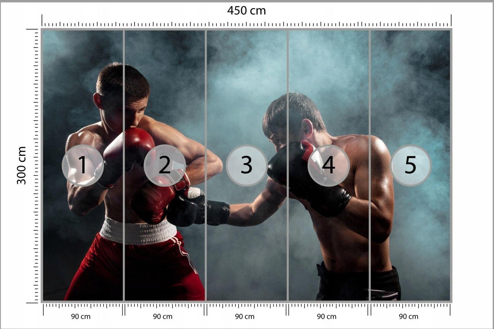 Doboxa Fototapeta Flizelina Profesjonalna Walka Bokserów 450X300 ...