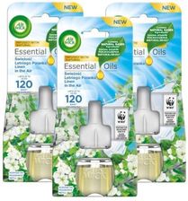 Zestaw Air Wick Electric Wkład do elektrycznego odświeżacza świeżość letniego poranka, 3x 19ml ...