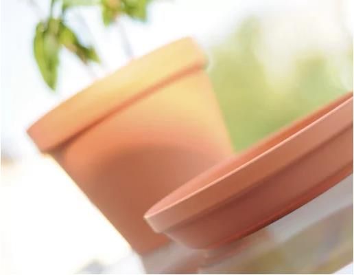 Prosperplast Doniczka Glinka 22cm Terakota Dga22-R624 - Ceny i opinie ...