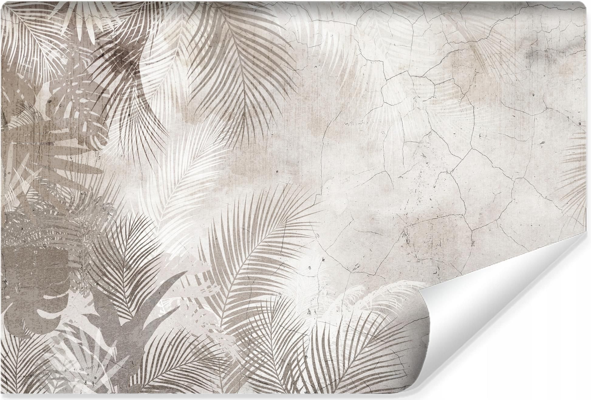 Muralo Fototapeta Ścienna Beton Liście Tropikalne Abstrakcja Mural ...