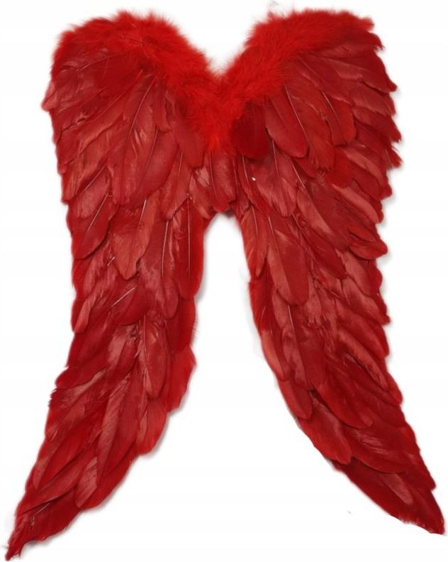 Tamipol Skrzydła Czerwone 1 Sztuka - Ceny i opinie - Ceneo.pl