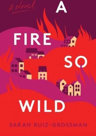 FIRE SO WILD - Literatura obcojęzyczna - Ceny i opinie - Ceneo.pl