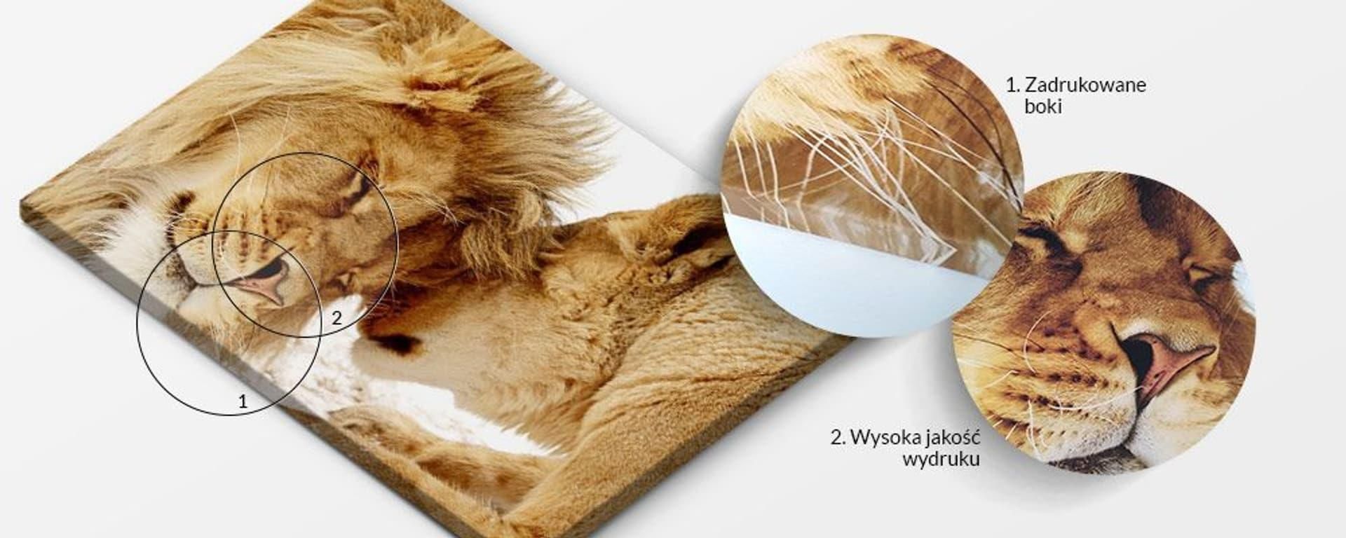 Artgeist Obraz Owoce Lunarii 1-Częściowy Pionowy 60X90 Wykończenie Na ...