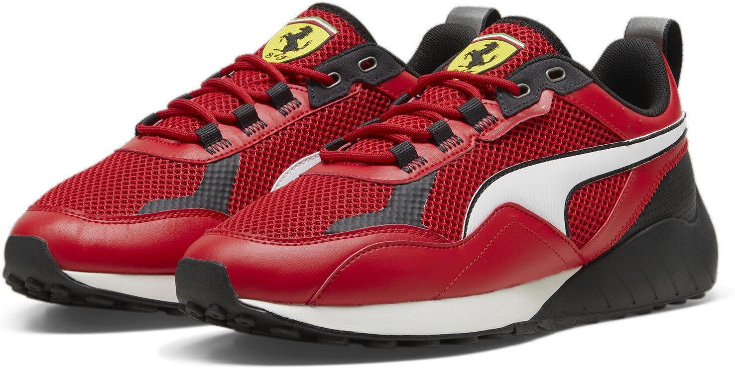 Buty Puma - Ceny i opinie - Ceneo.pl